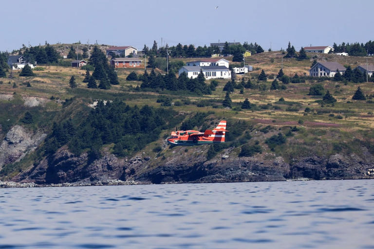New Brunswick water bombers sent to help fight raging Newfoundland ...
