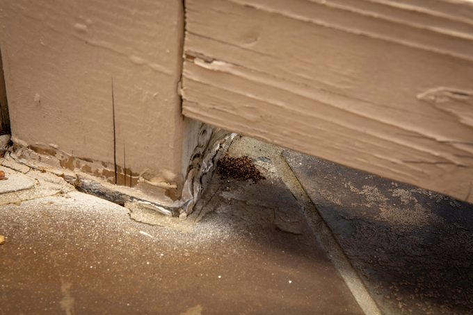 The Ultimate Home Maintenance Checklist for New Homeowners
