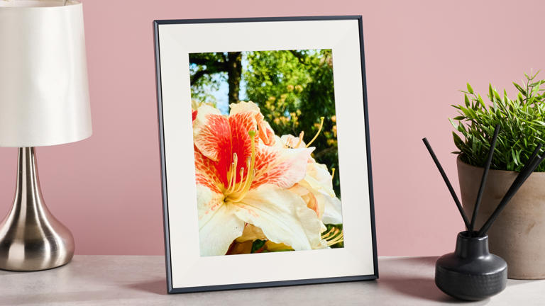 I test digital photo frames for a living and I can tell you firsthand ...