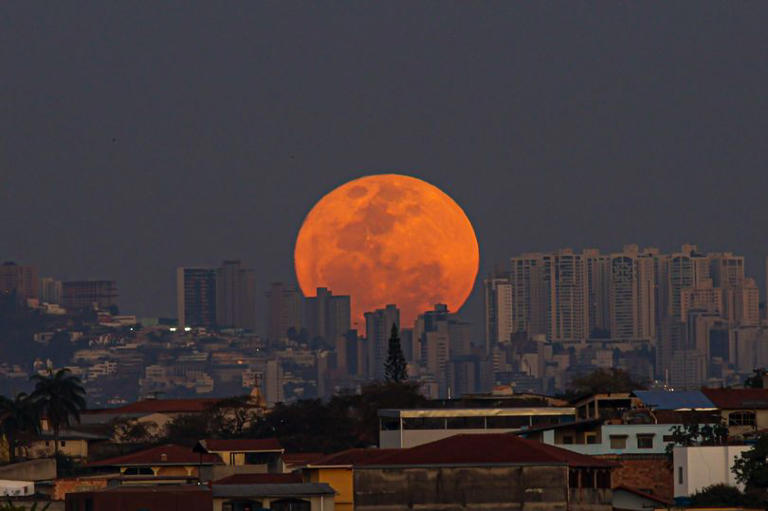 The Sturgeon Super Moon's impact on each star sign - old grudges, money ...