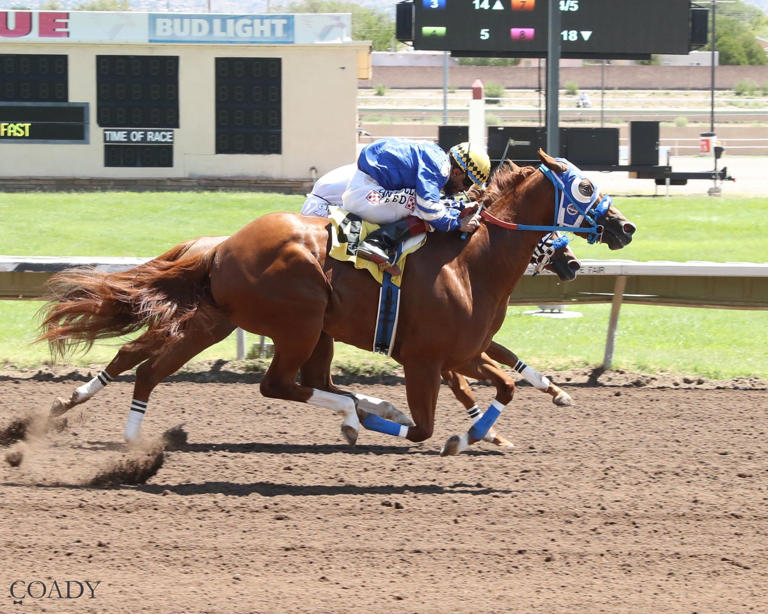 All American Derby and Oaks trials 2025: Results from horse racing ...