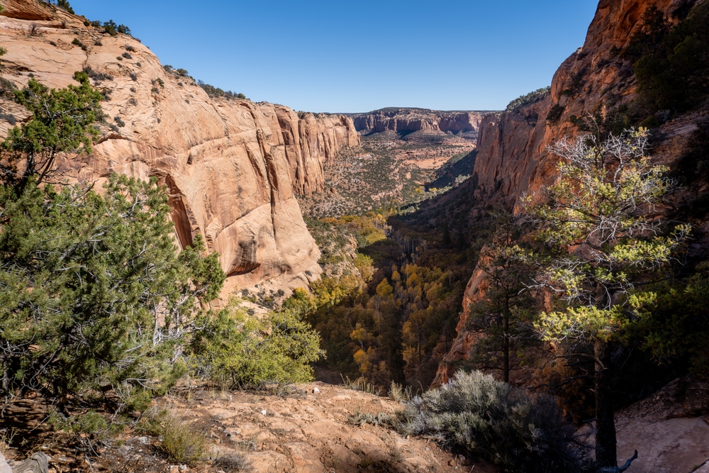 This 13th-century Arizona cliff dwelling stayed hidden for 600 years ...