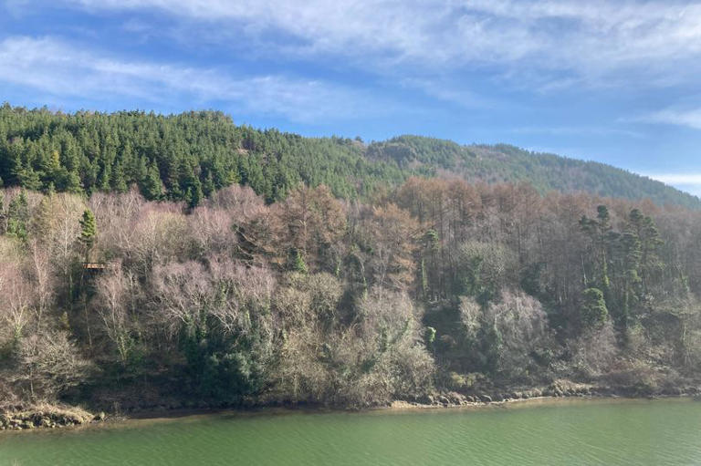 Mega money leisure centre with hill-top restaurant, gondola and zipline ...