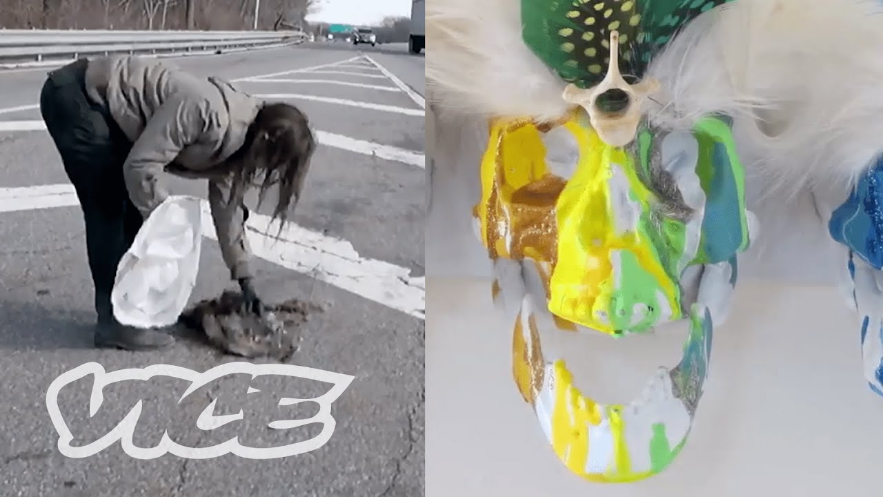 Turning Roadkill into Art
