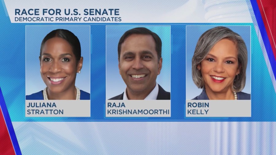 Illinois Senate candidates ramp up campaigns, as one earns key endorsements