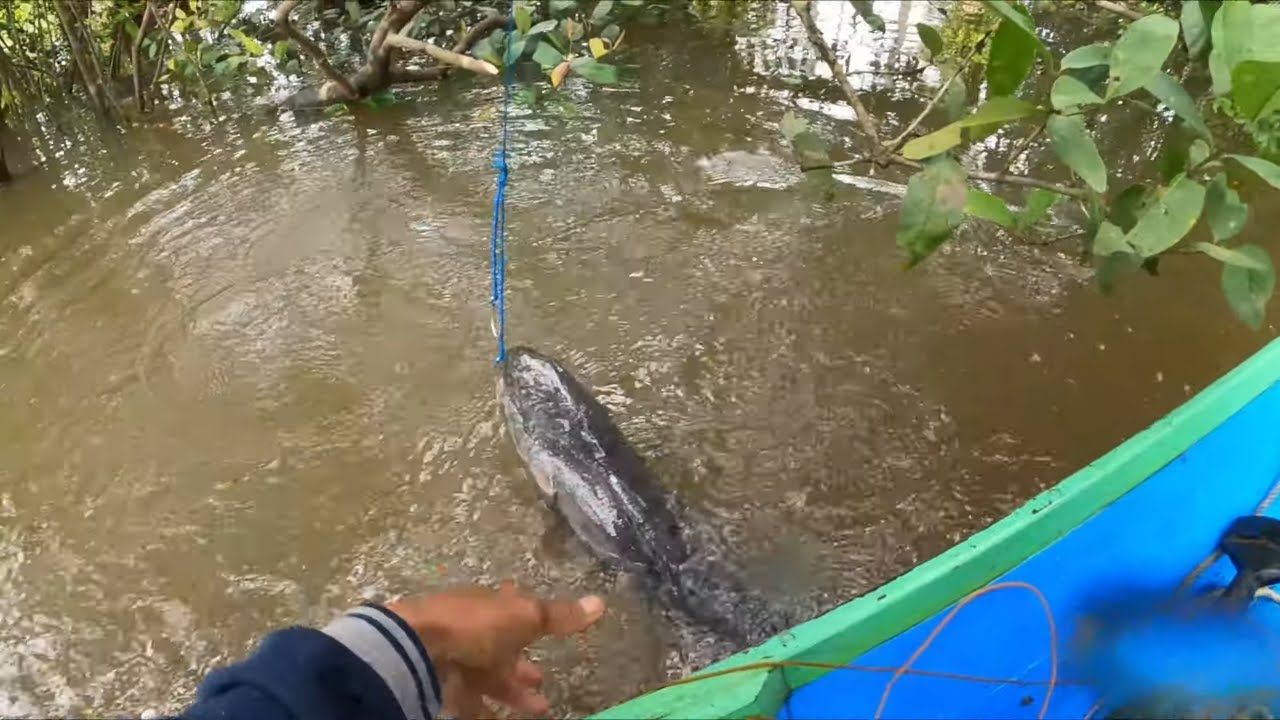 Tangkapan Liar di Sarang Tominse: Petualangan Memancing di Sungai ...