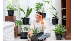 Ide Penataan Vertikal Garden di Teras Rumah, Solusi Hijau untuk Lahan ...