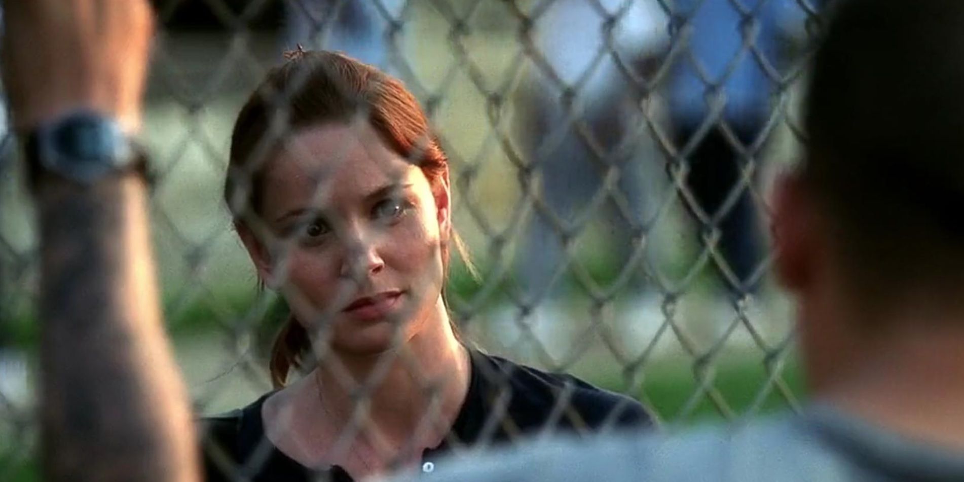 'Prison Break' Leaves Netflix Next Month