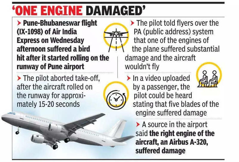 'One engine damaged': Air India Express plane suffers bird strike at ...