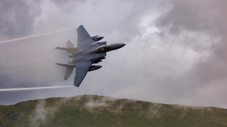 What Is An Interceptor And How Does It Differ From A Fighter Jet?