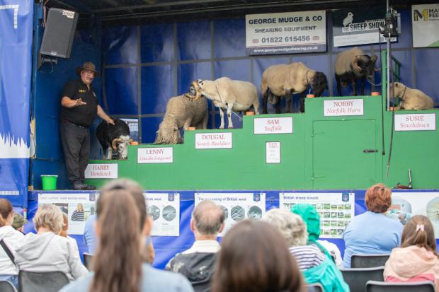Dancing sheep set to delight visitors at Dorset show