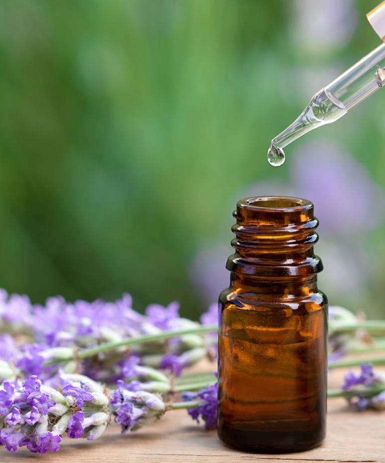 4 natural mosquito repellents you can make yourself for easy, non-toxic ...