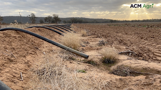 Forbes farmers with sodic soils