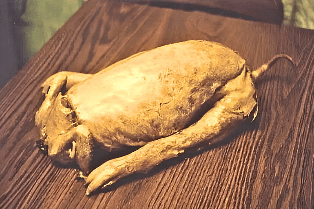 The 10 Bizarre Medieval Foods From Our Ancestors' Tables