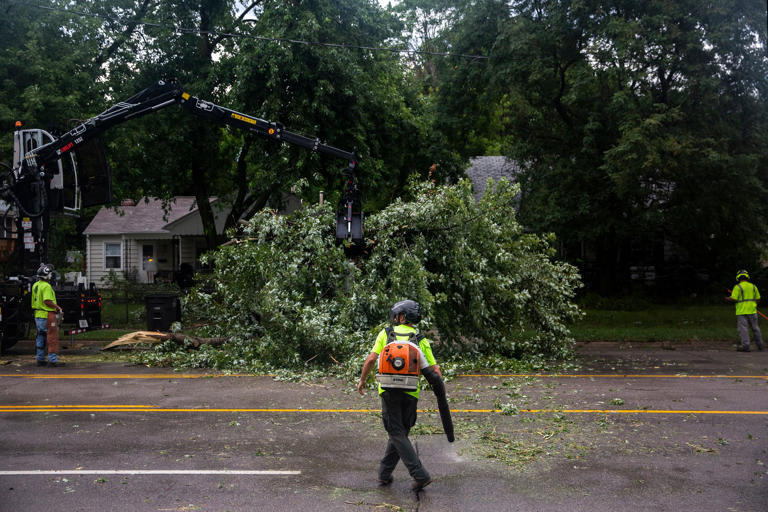 How many trees did Iowa lose from the 2020 derecho?