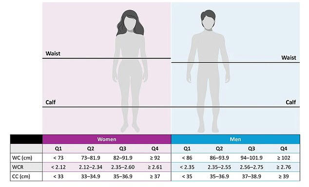 The size of a surprising body part can predict how long you will live
