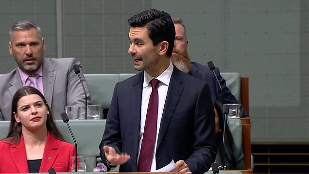 Labor MP Gabriel Ng blasts passive capital gains