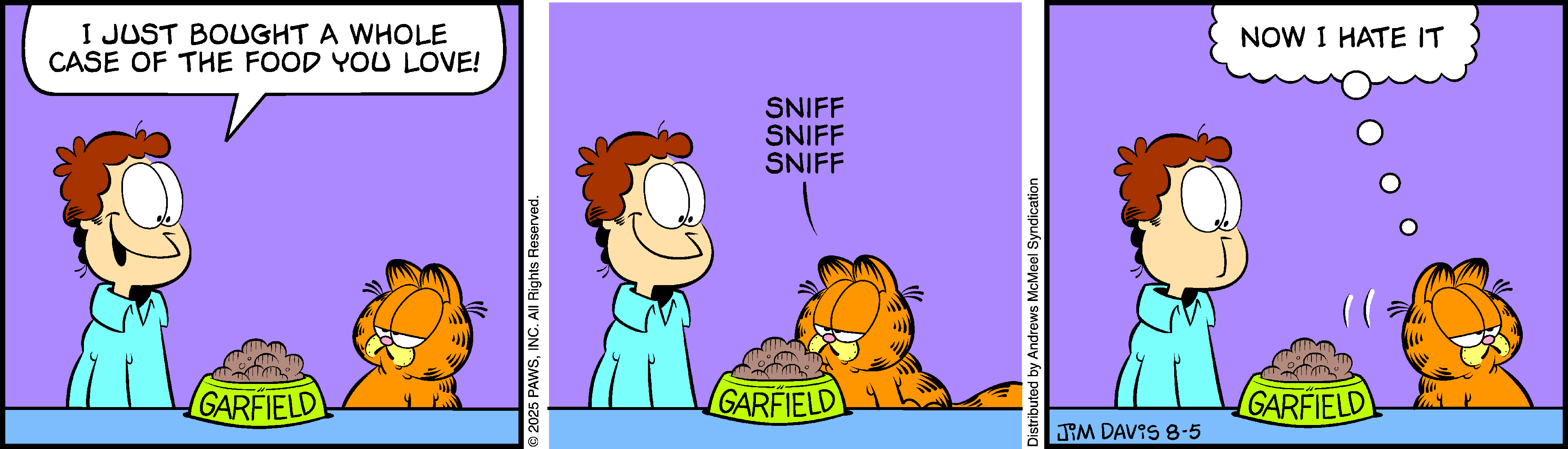 Garfield by Jim Davis