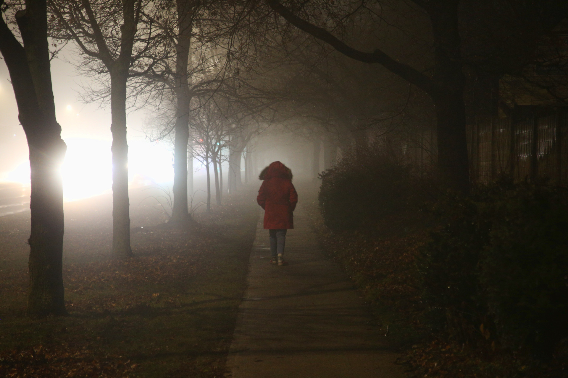 The most mysterious disappearances in history