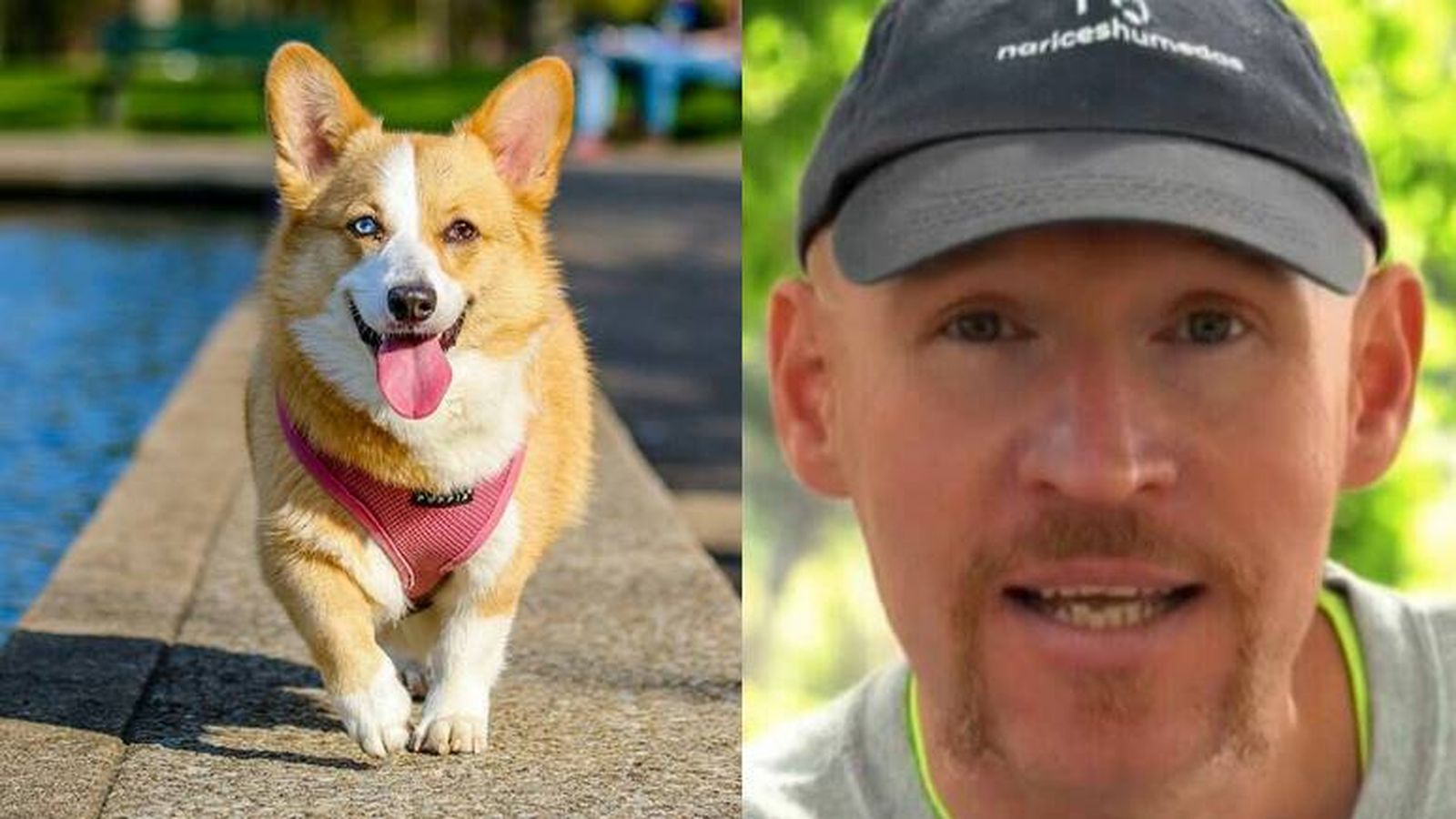 Alan Peiró, adiestrador canino: “Puedes darle comida de humanos a tu ...