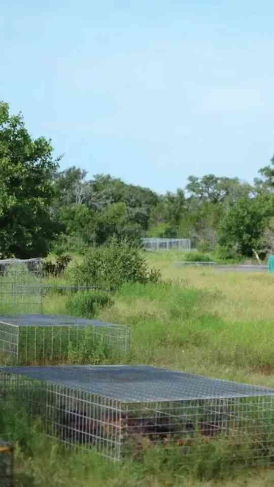 What is a 'Body Farm'?
