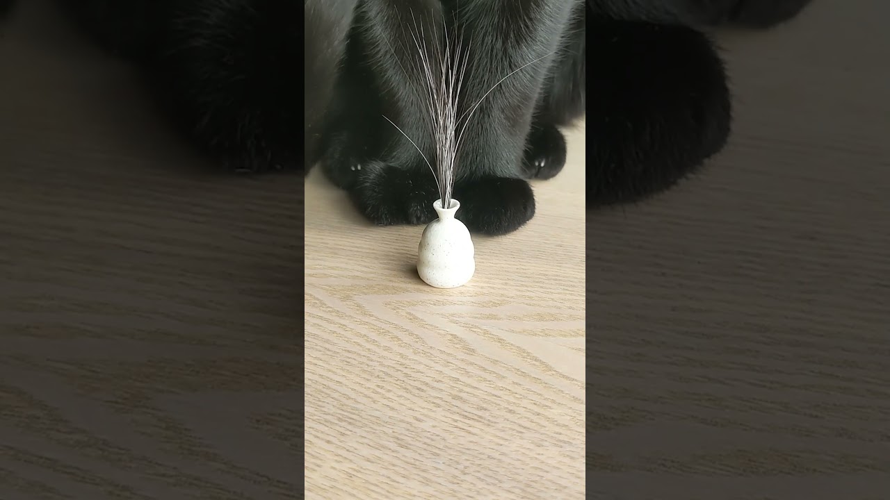 Miniature Cat Whisker Pots