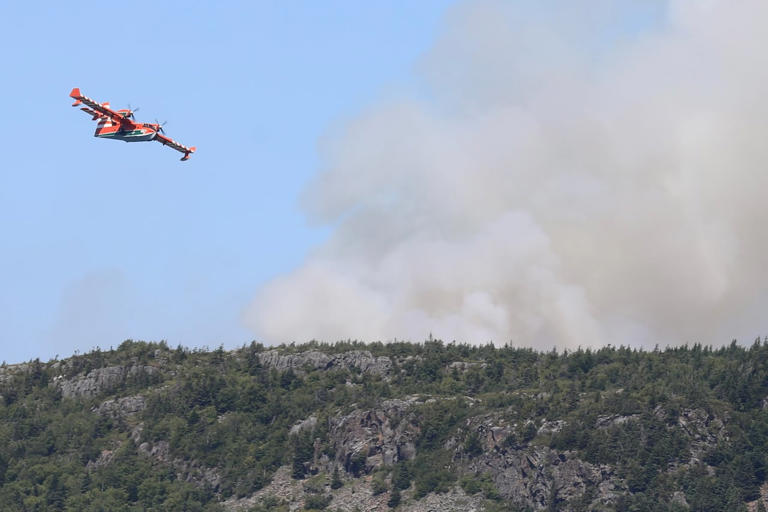 N.L. premier says he's 'hopeful we've turned the corner' fighting wildfires