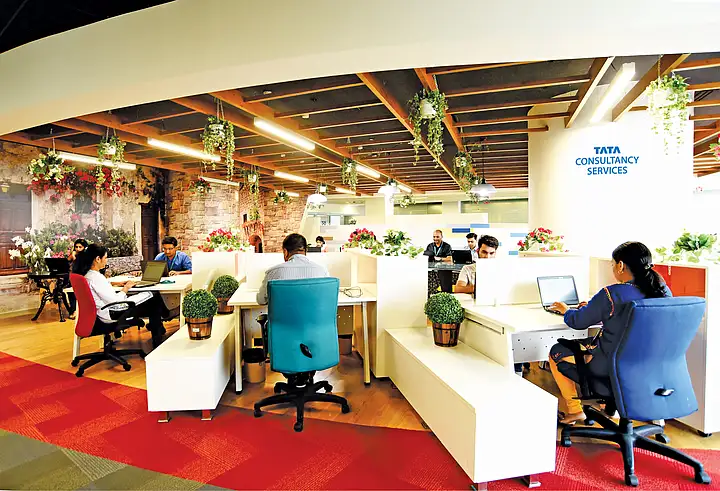 TCS freezes anniversary appraisals for freshers not adhering to work ...