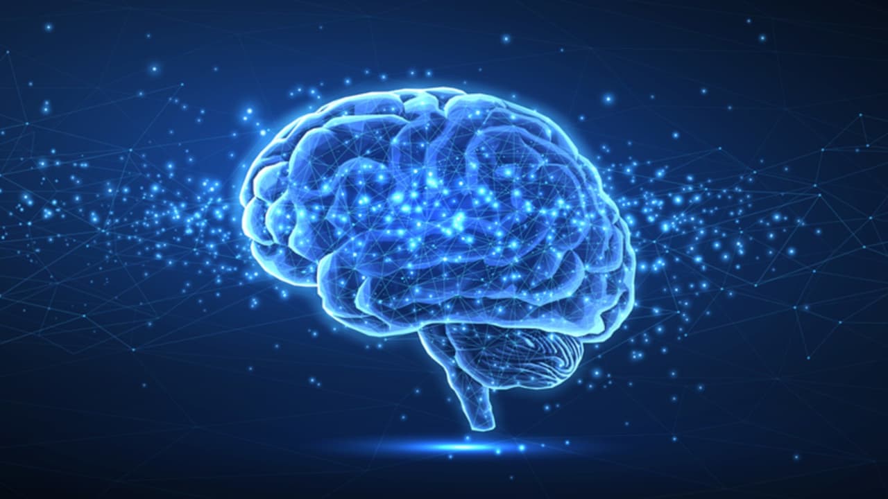 World's First Mini Human Brain with Real Nerve Signals, Blood Vessels Grown