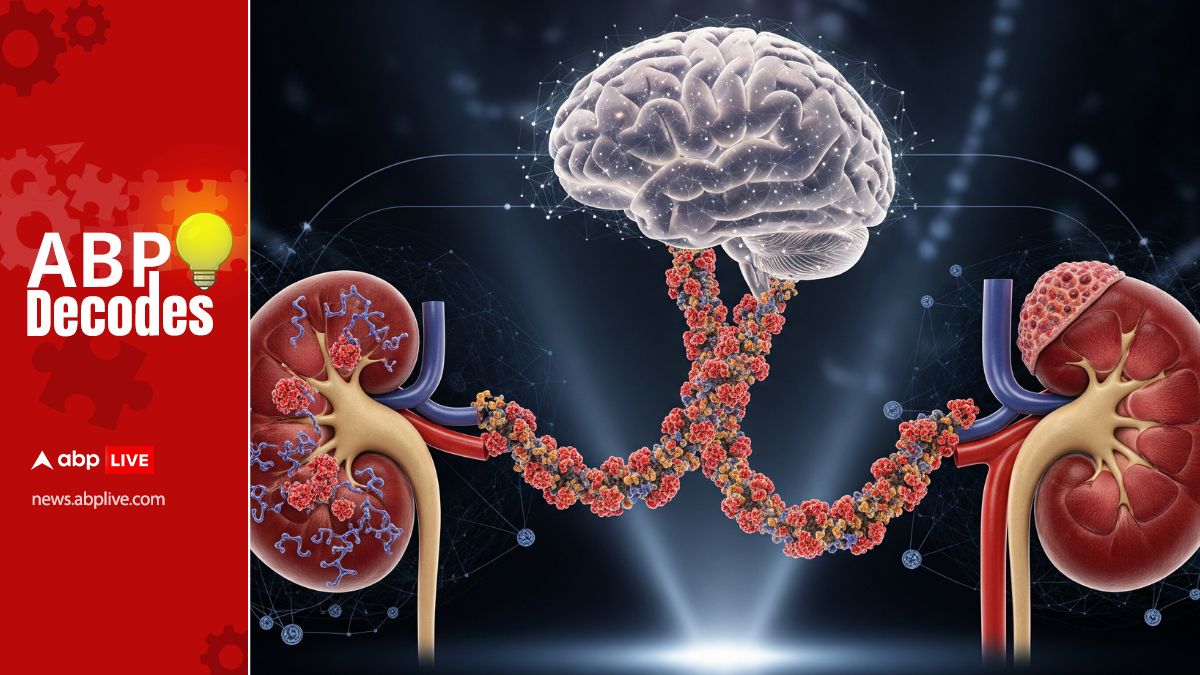 Parkinson's Disease Has Roots In Kidney Health, Claims Study; Here's ...