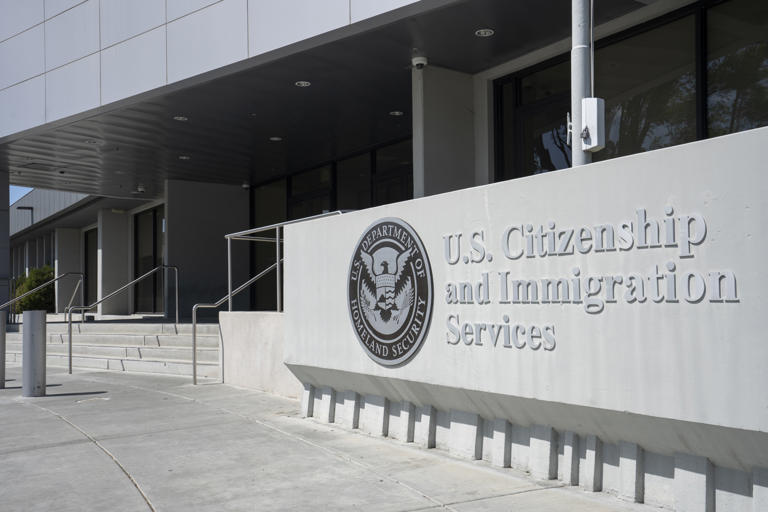 Number of green cards to increase under new proposal