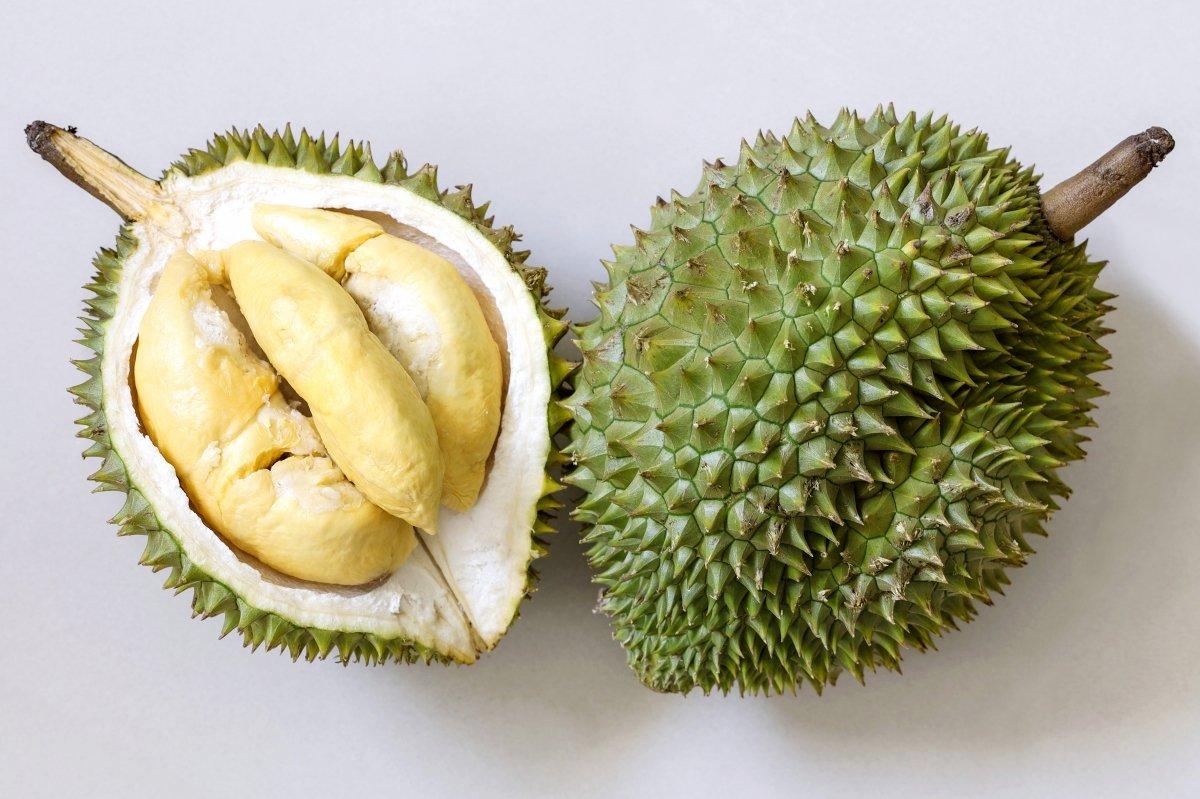 Durián: Características, propiedades, beneficios y consumo de la fruta ...