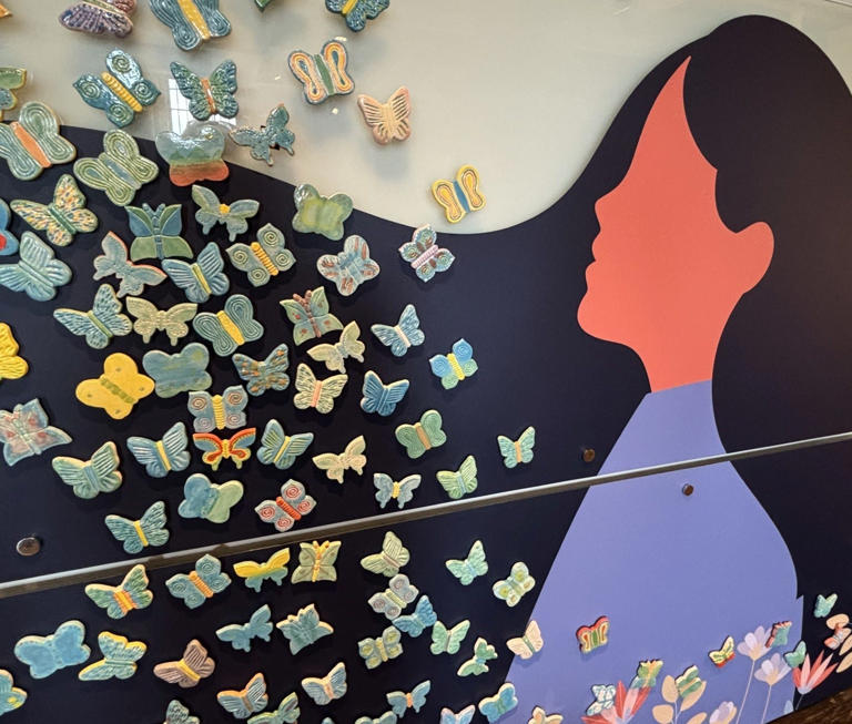 Virginia Holocaust Museum: Order free The Butterfly Project kits before ...