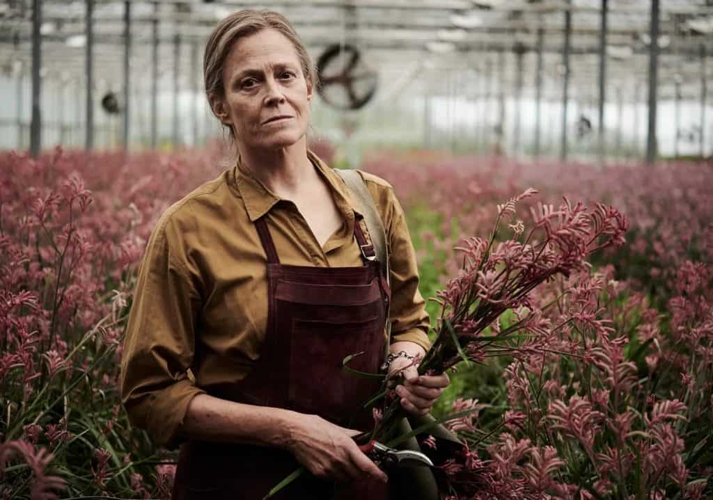 12 Secretly Brilliant Amazon Prime Movies Flying Under the Radar