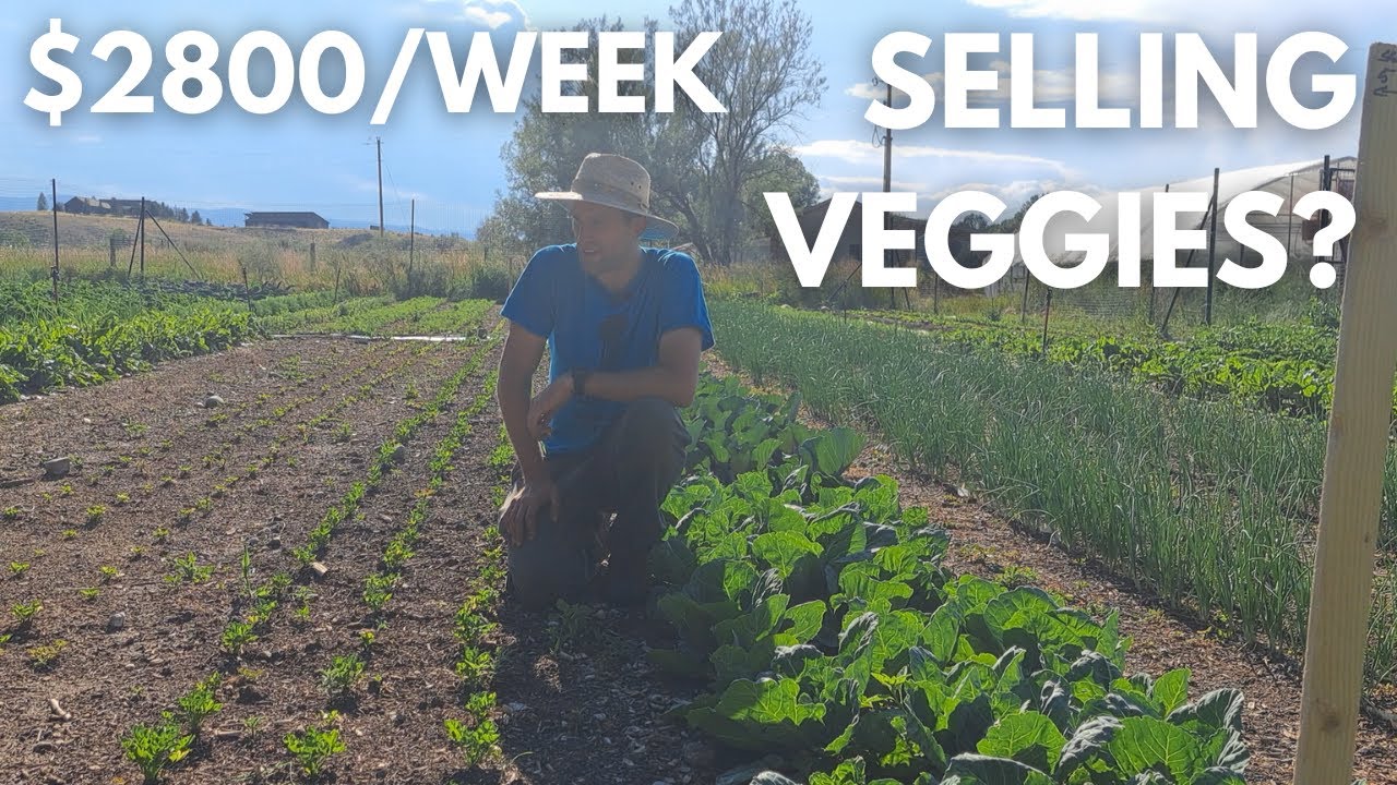How to Make \$2,800 a Week Selling Vegetables: 7 Crops That Make