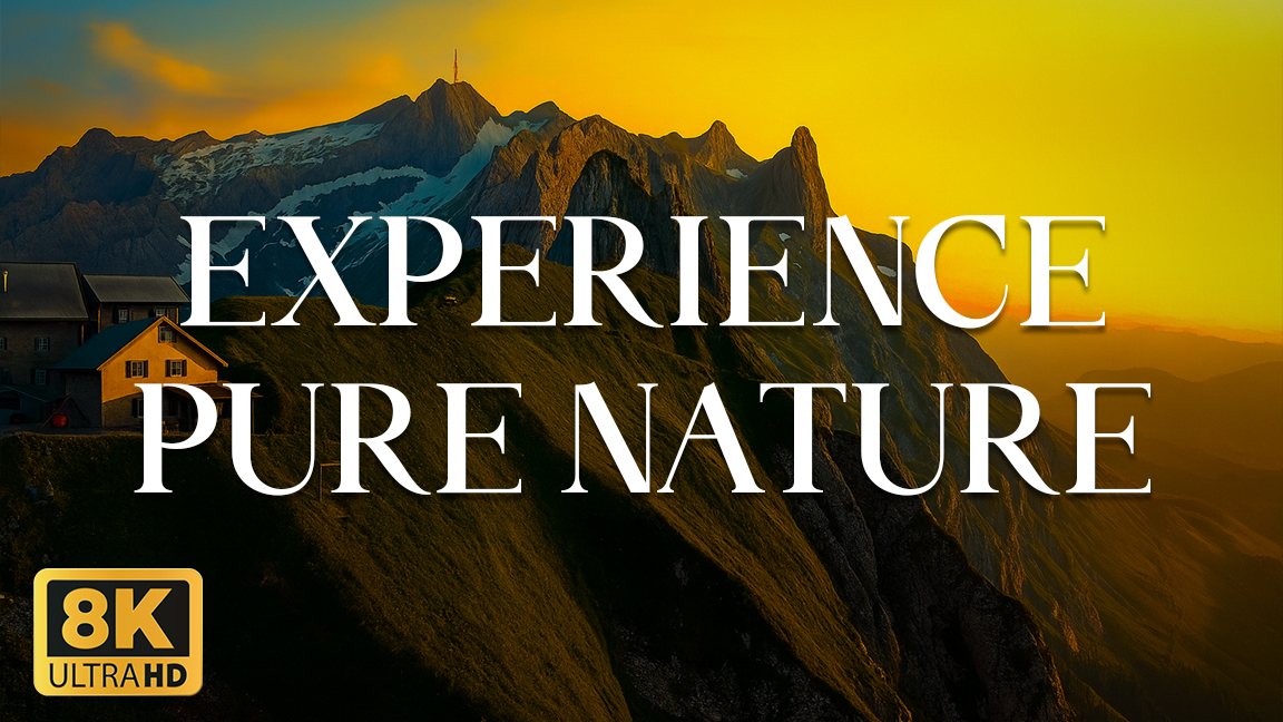Ontsnap aan de drukte – Ervaar pure natuur in 4K