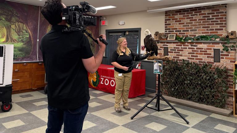 Strong Arm in Tow, Austin Mack Making Presence Felt in Quarterback Battle