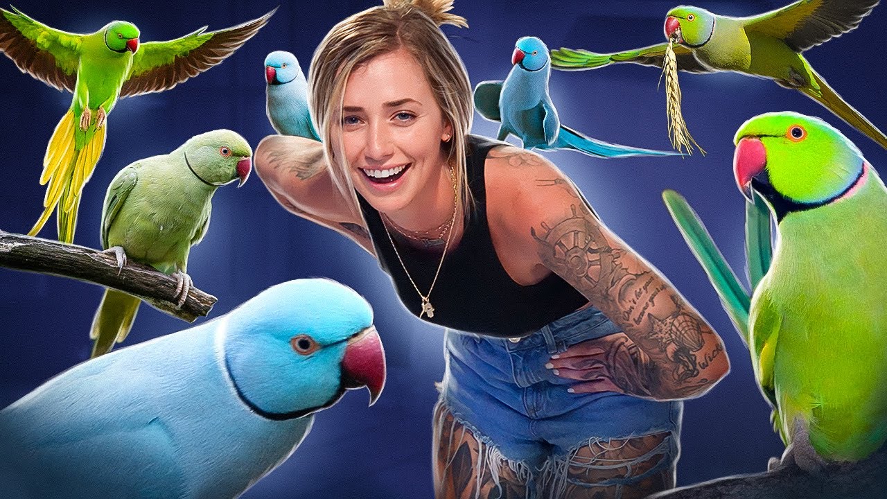 New Birds Just Arrived – You’ve Never Seen Colors Like These!