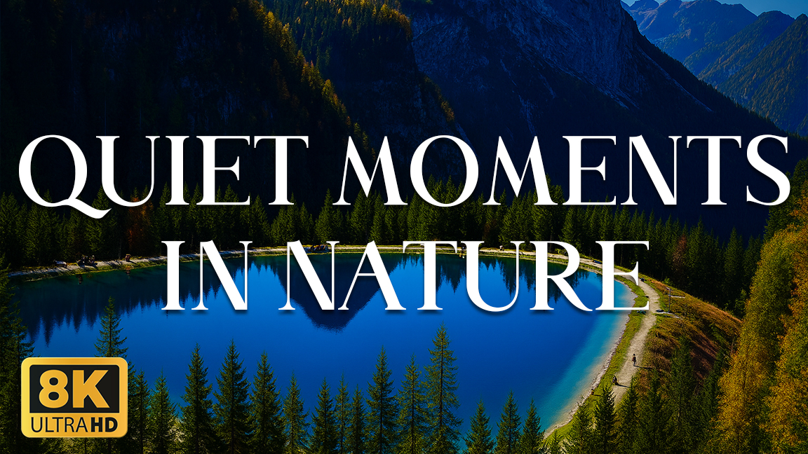 Quiet Moments in Nature – A 4K Escape from Noise