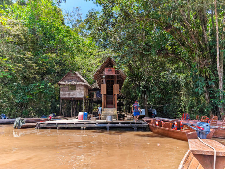 Epic Amazon Rainforest Trip: the Treehouse Lodge in the Peruvian Amazon