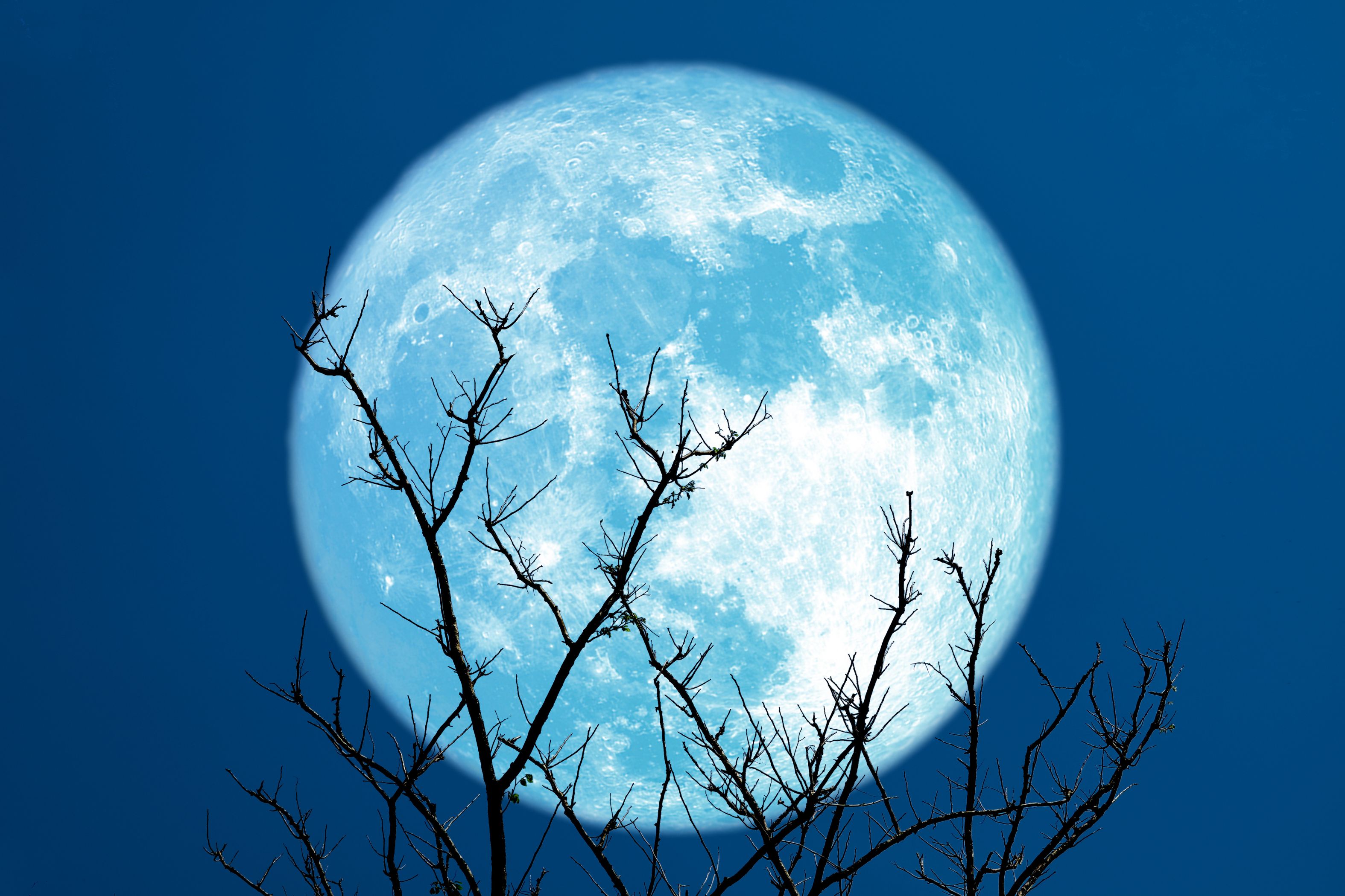 When is the Sturgeon Full Moon in 2025? Here's how to see the next full ...