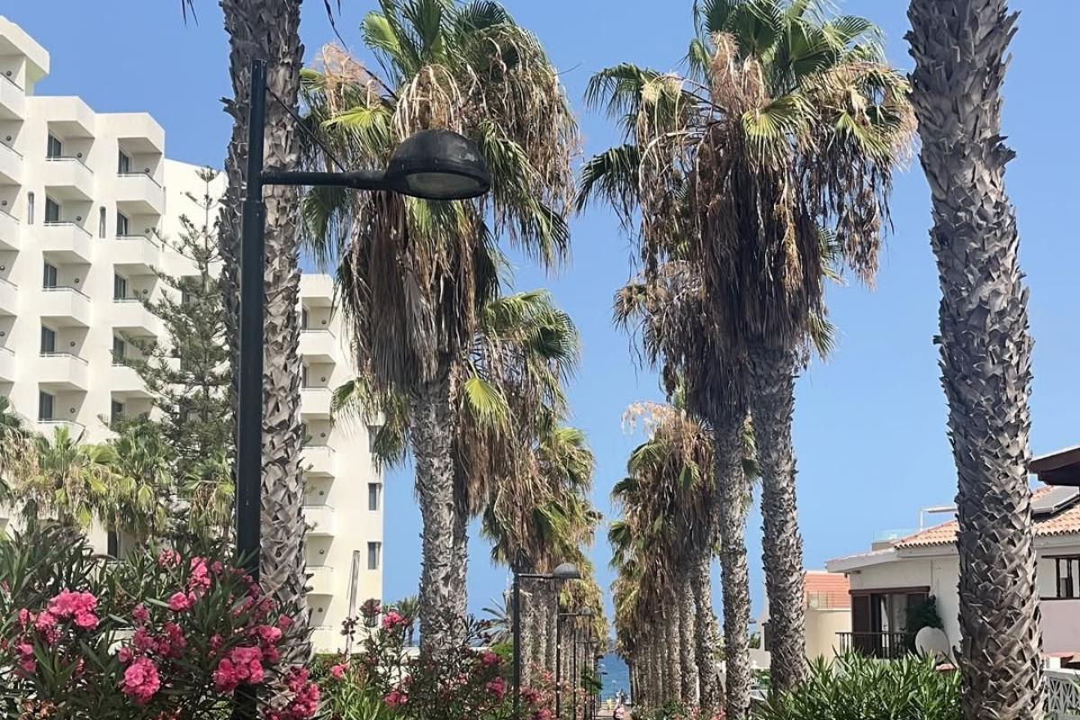 16-Year-Old Briton Held in Tenerife Over Alleged Attack on Holidaymaker