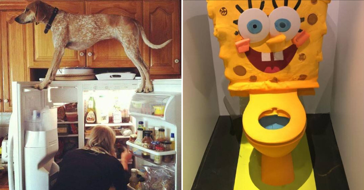 35 Funny Pictures For That Weird Part Of The Week Called Thursday ...