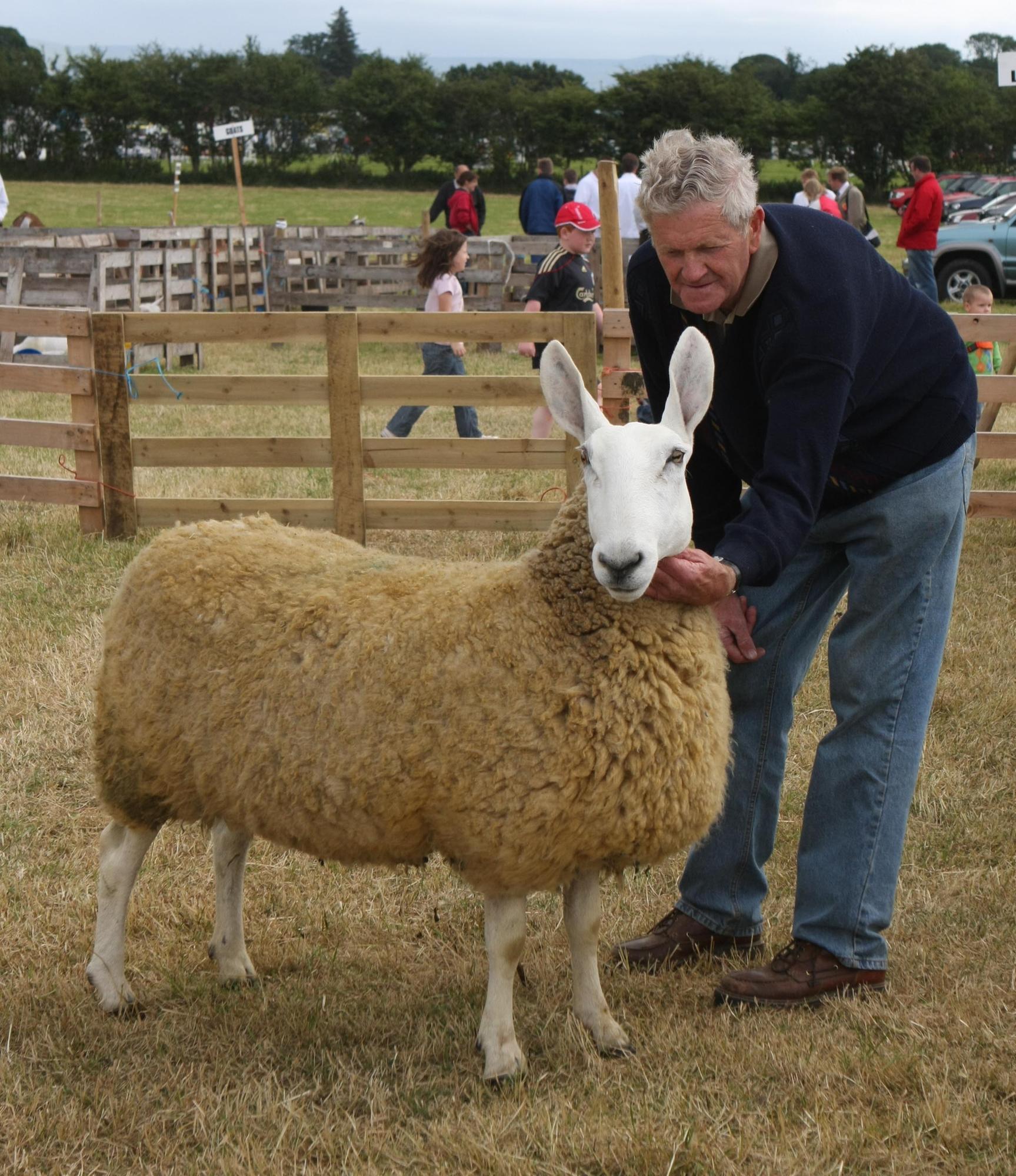 Another 20 more old photographs from the Limavady Show down through the ...