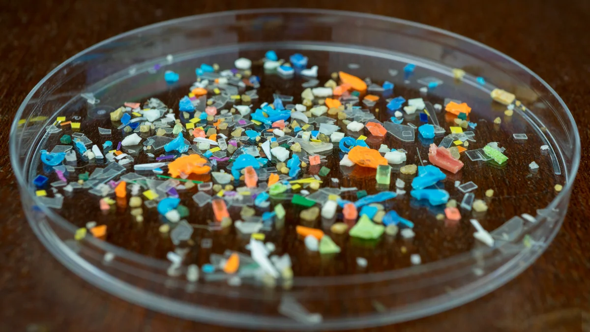 Esta es la manera sorprendente de eliminar todos los microplásticos de ...