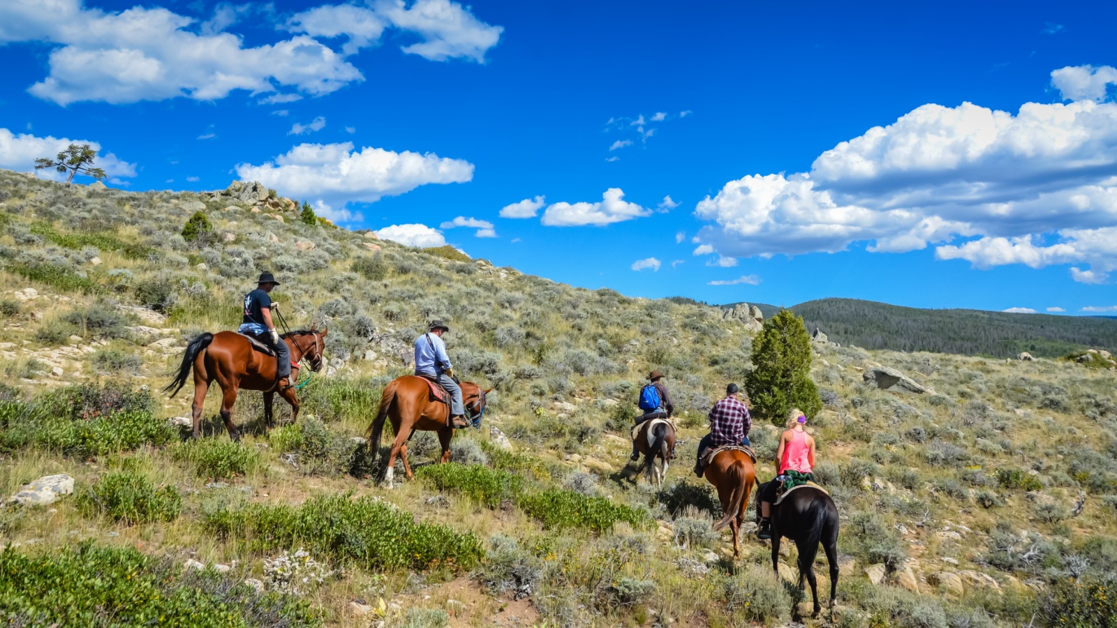 Visiting a working dude ranch in Wyoming this summer