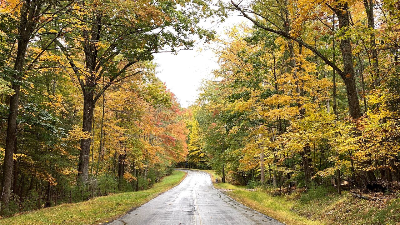 20 best fall foliage drives from New England to Virginia