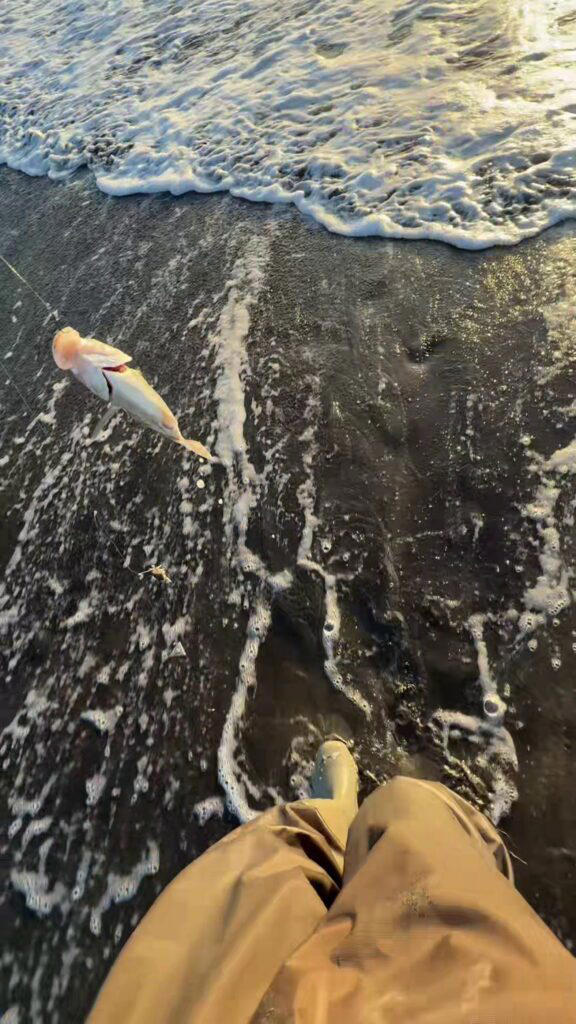 Woman catches dinner in seconds after learning to fish on YouTube