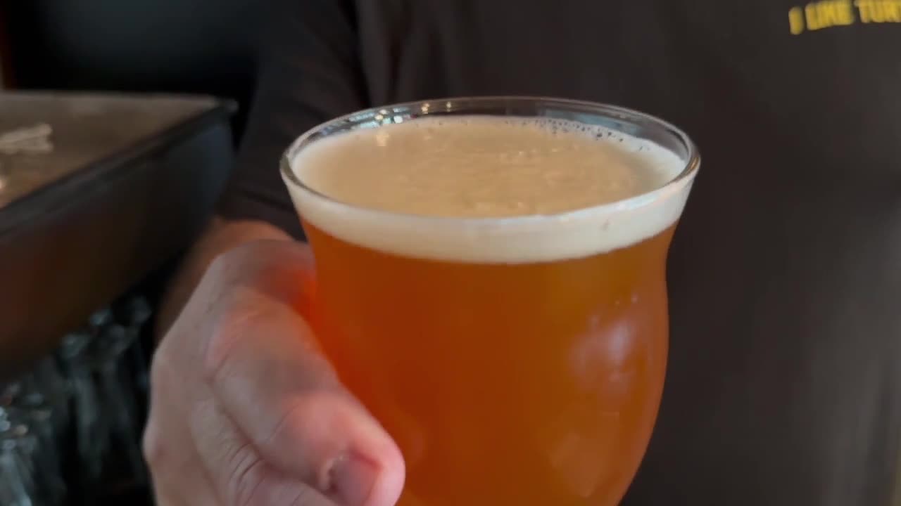 St. Pete's Green Turtle Brewery & Public House joins 'Gulp Coast Craft ...