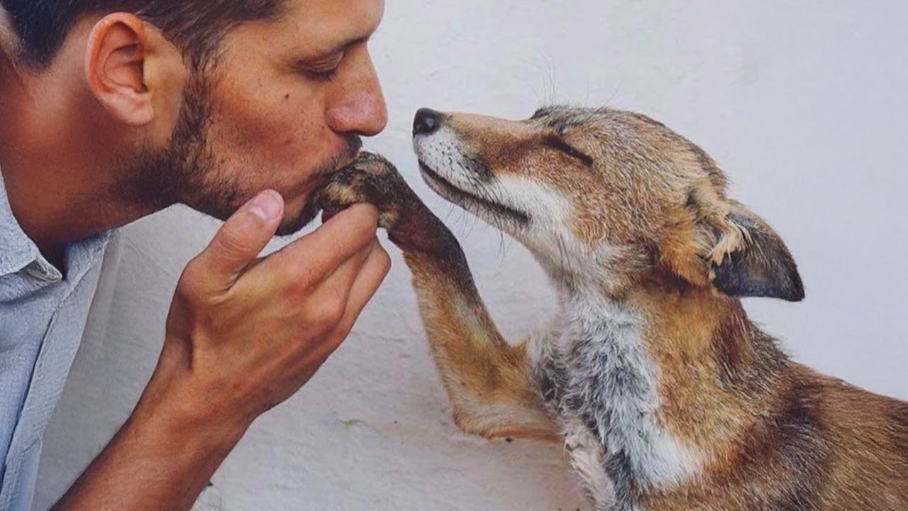 Some animal bonds need no words to be deeply felt